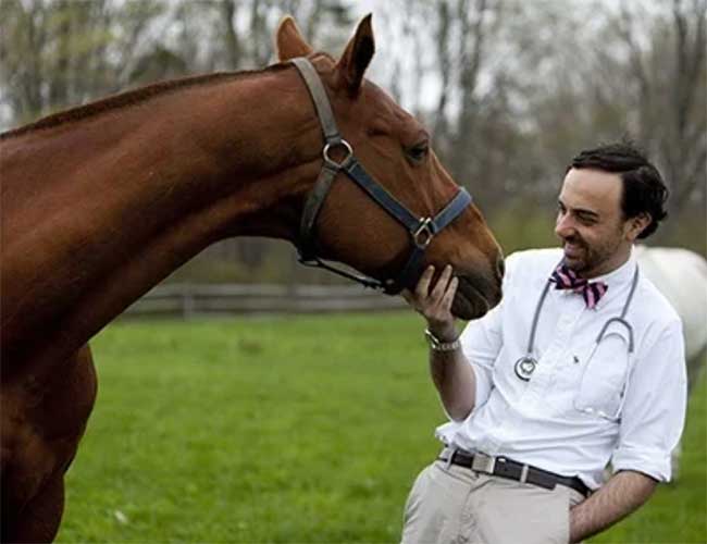 Meet the obstetrician who is also qualified to treat large furry ...